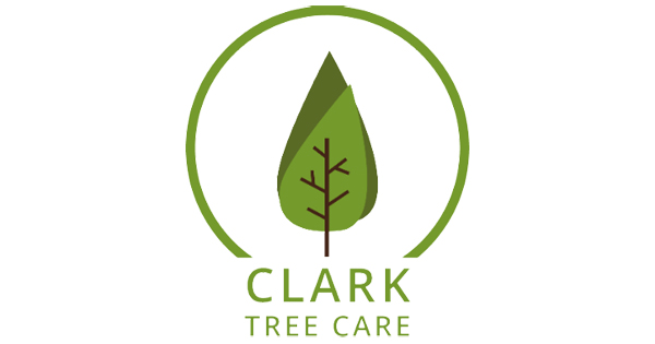 Arborist | Specialist Tree Pruning & Removal, Stump Grinding, Section ...